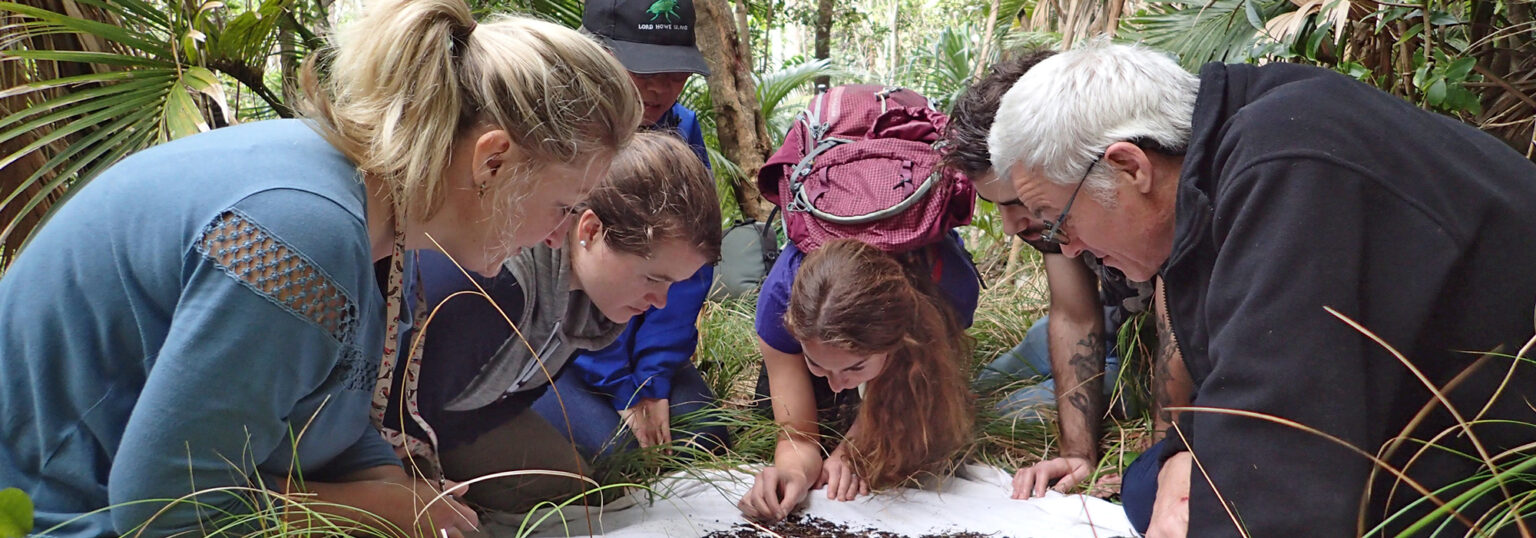 Learn - Lord Howe Island Museum